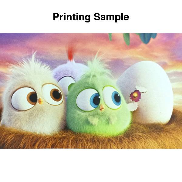 China Indoor SA PP Sticker [Matt] - Non Waterproof [Dye Based]